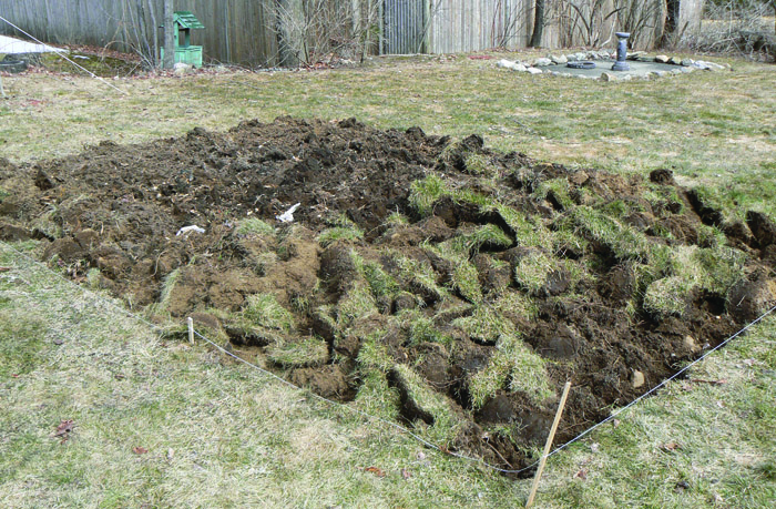 How to Separate Rocks from Dirt and Sow Success - Grit